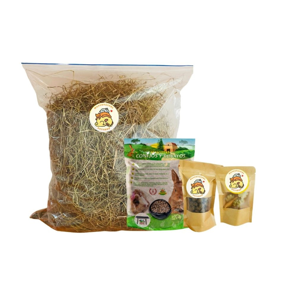 Cobayas – Mascotascol Conejoscol Petshop – Page 2 – MascotasCol ...